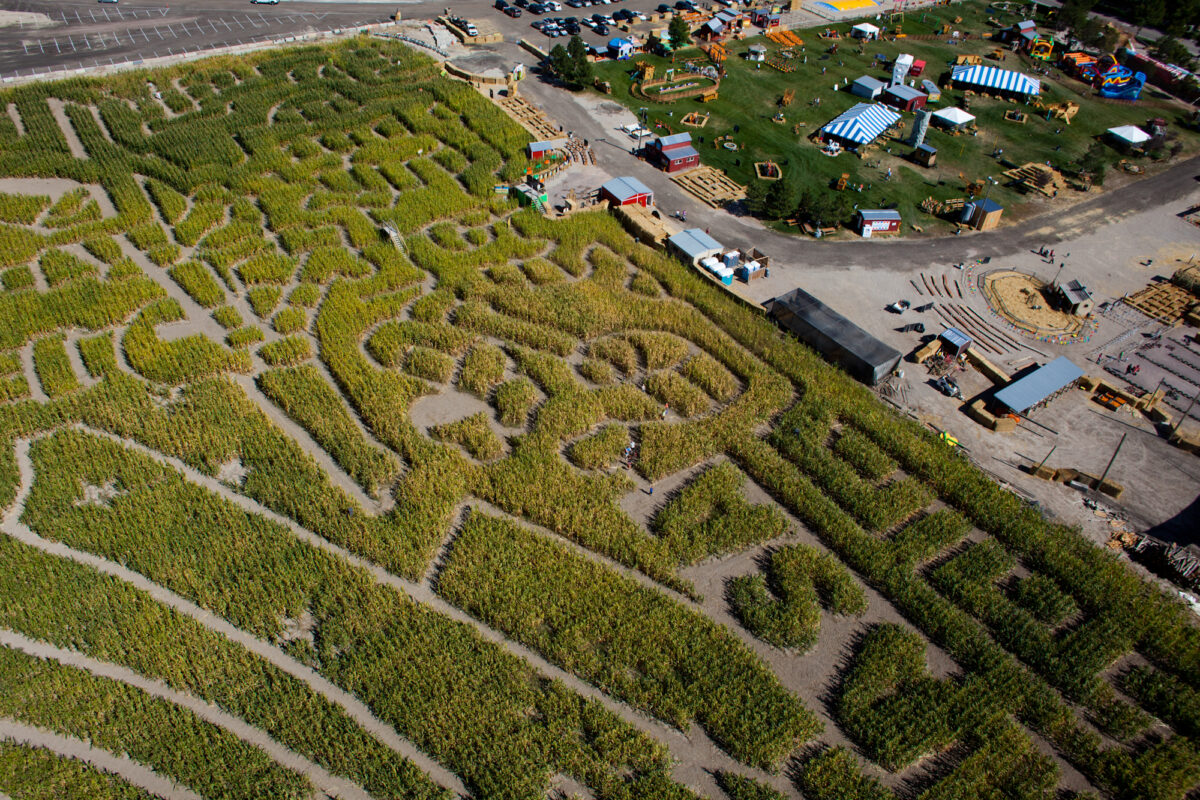 Thanksgiving Point corn maze celebrates NASA | News, Sports, Jobs ...